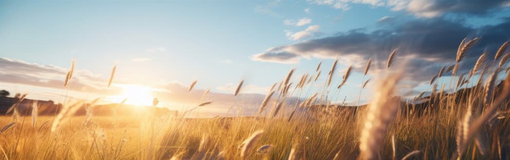 Tribute Wall Album | Sandra Kaas